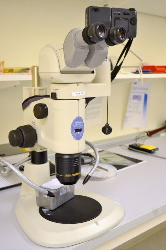 Netauktion - Mikroskop, Nikon SMZ-1500