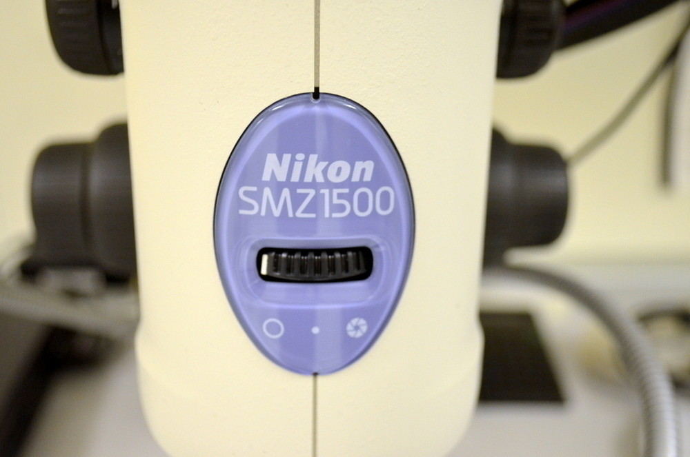 Netauktion - Mikroskop, Nikon SMZ-1500