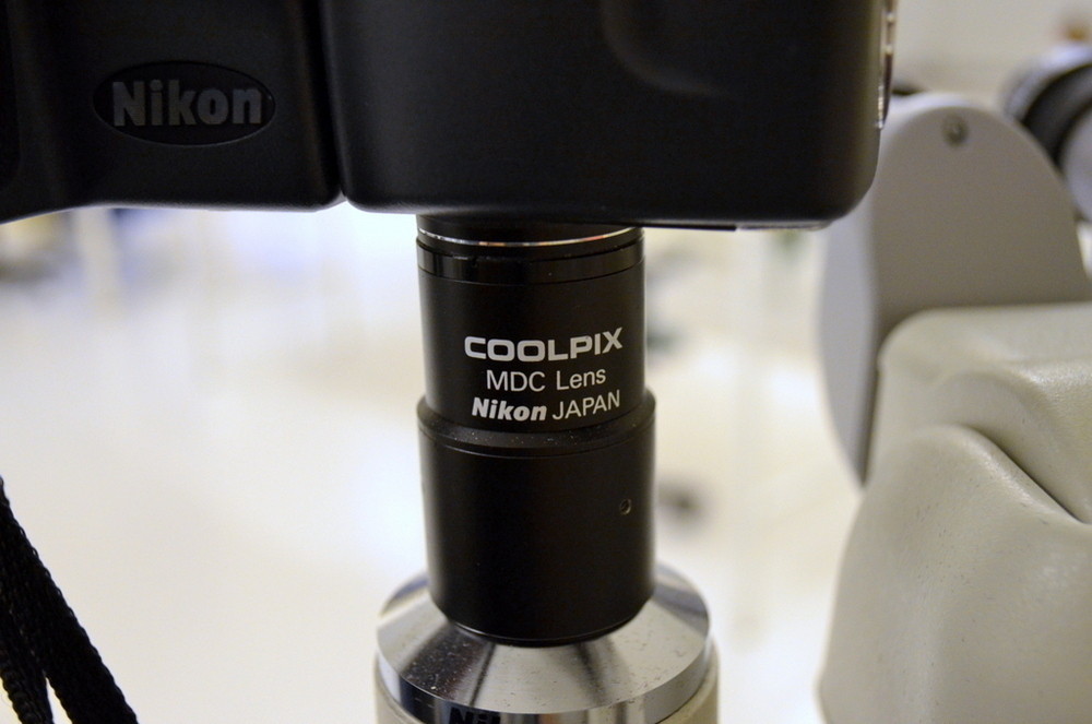 Netauktion - Mikroskop, Nikon SMZ-1500