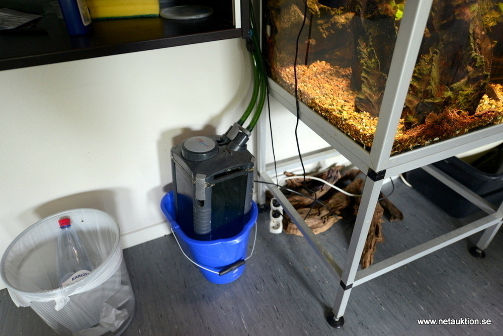Netauktion - Akvarium med fiskar