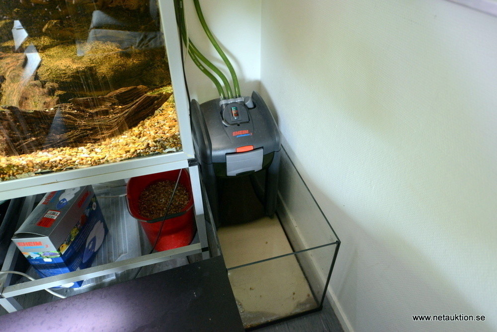 Netauktion - Akvarium med fiskar