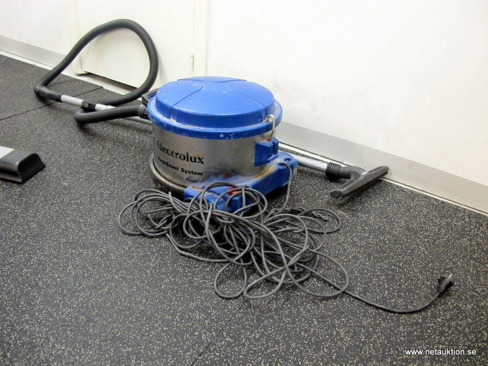 Netauktion - Dammsugare, Electrolux