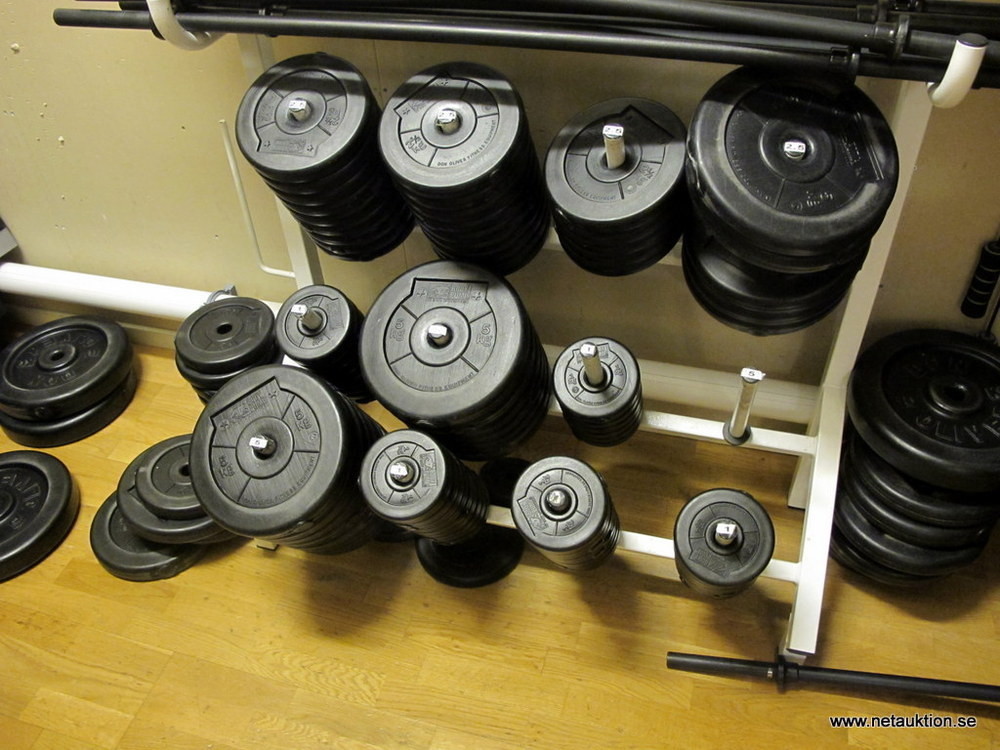 Netauktion - Skivstänger och vikter