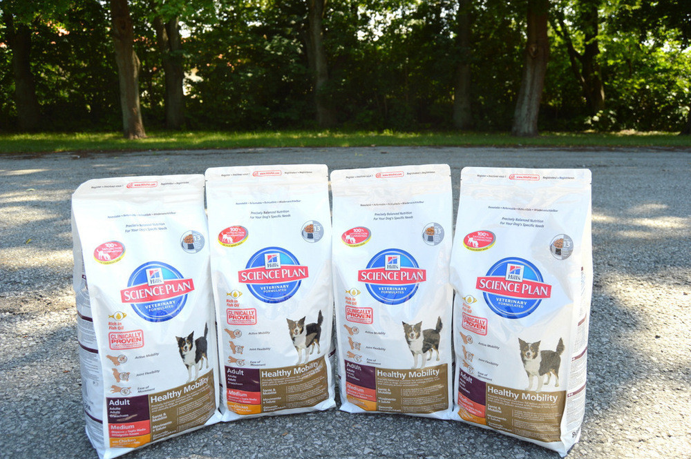 Netauktion - Hills Science Plan Adult Healthy Mobility Medium 3kg