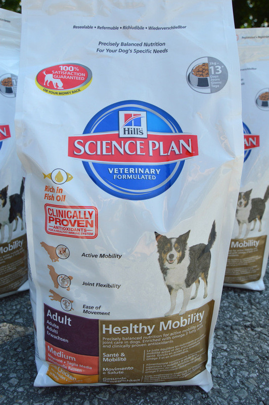 Netauktion - Hills Science Plan Adult Healthy Mobility Medium 3kg