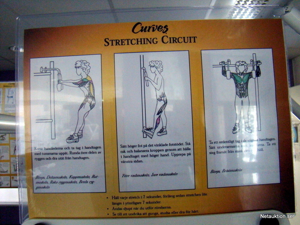 Netauktion - Stretching circuit, Curves