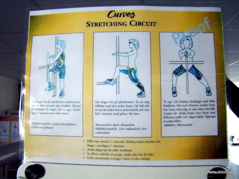 Netauktion - Stretching circuit, Curves