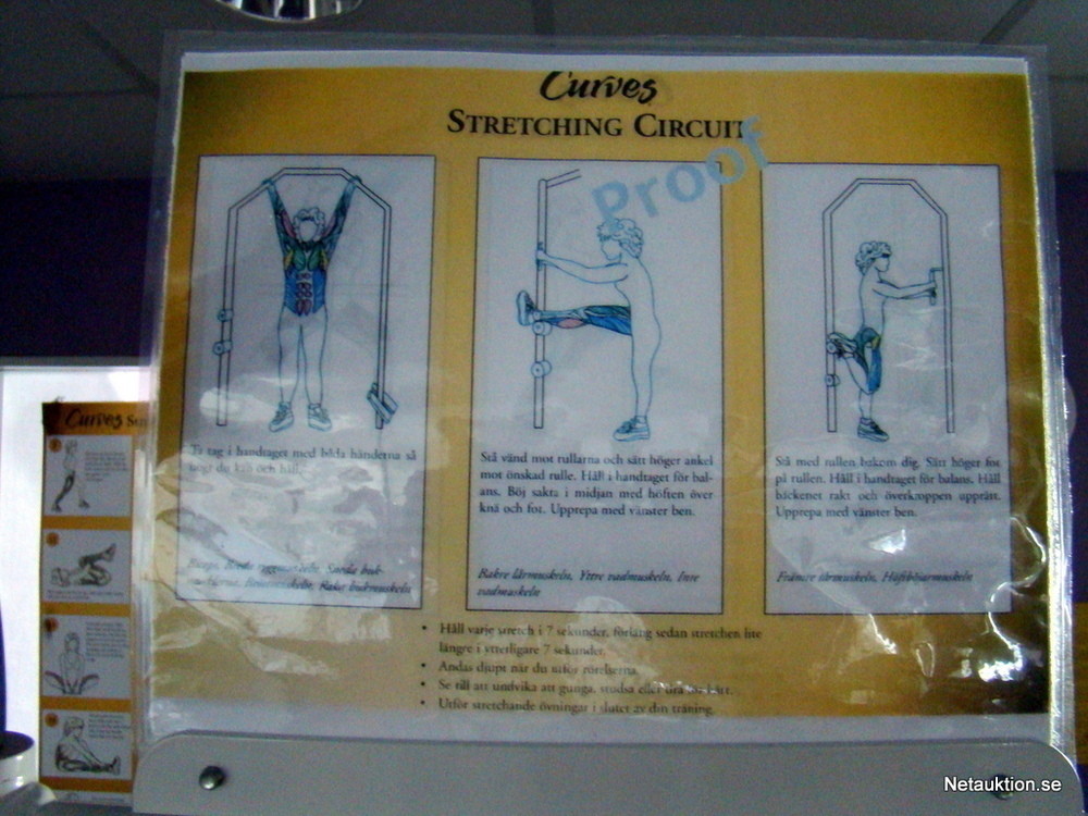 Netauktion - Stretching circuit, Curves