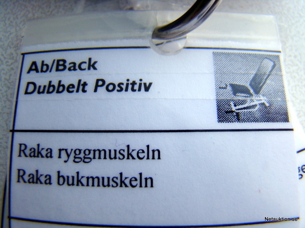 Netauktion - Rygg/mage maskin, Curves