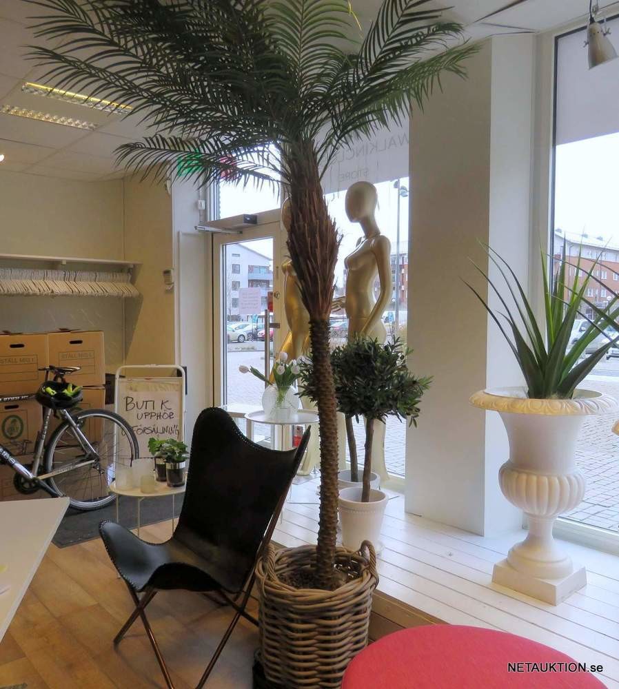 Netauktion - Stor dekorativ palm