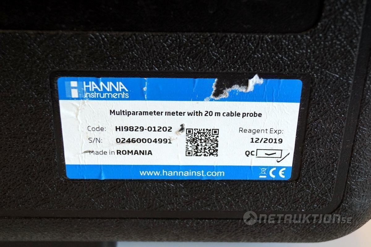 Netauktion - Multiparameter, Hanna HI 9829