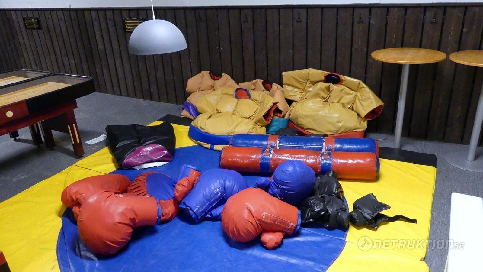 Netauktion - Sumo / femkamp