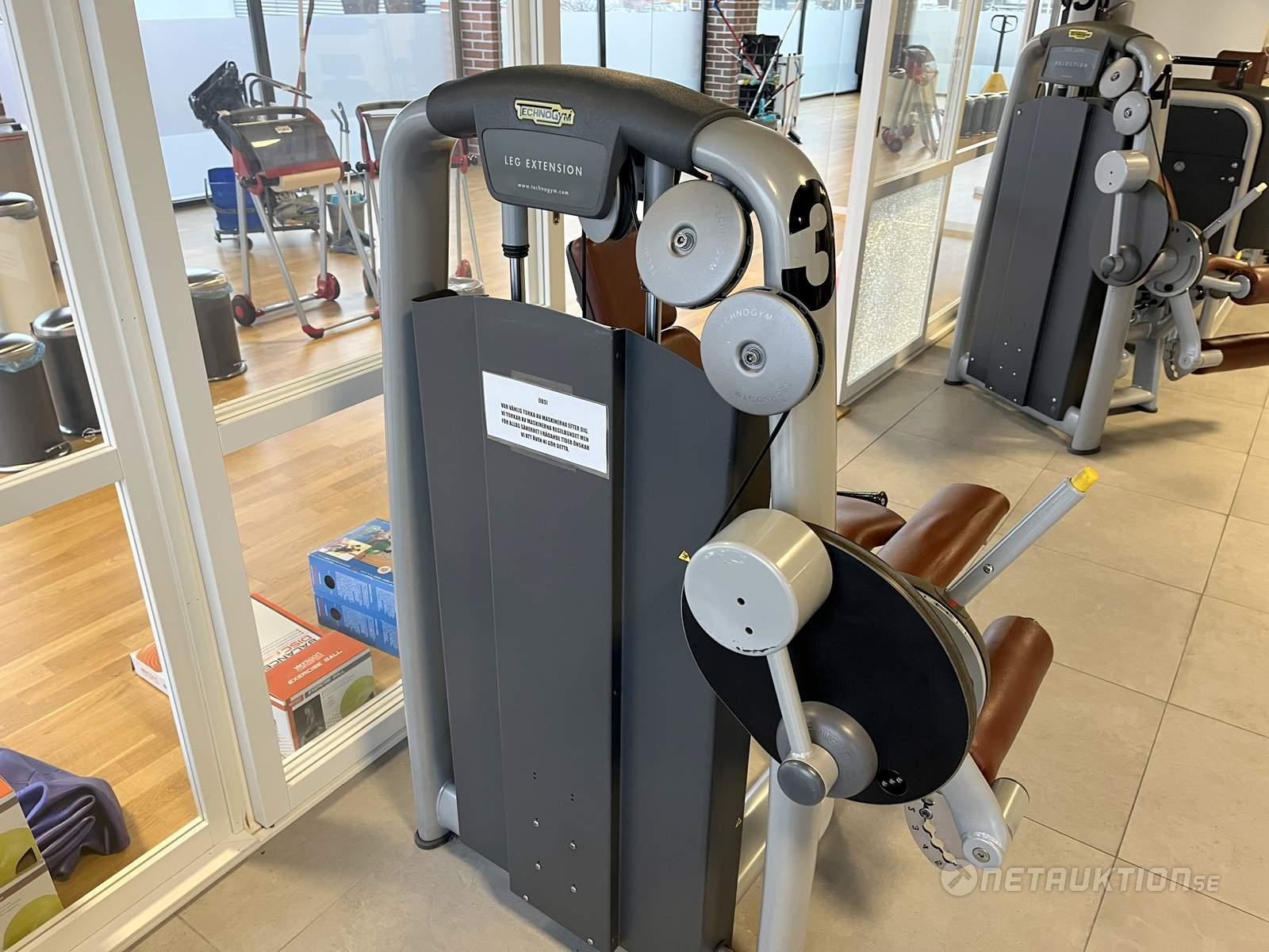 Netauktion - Leg extension, TechnoGym