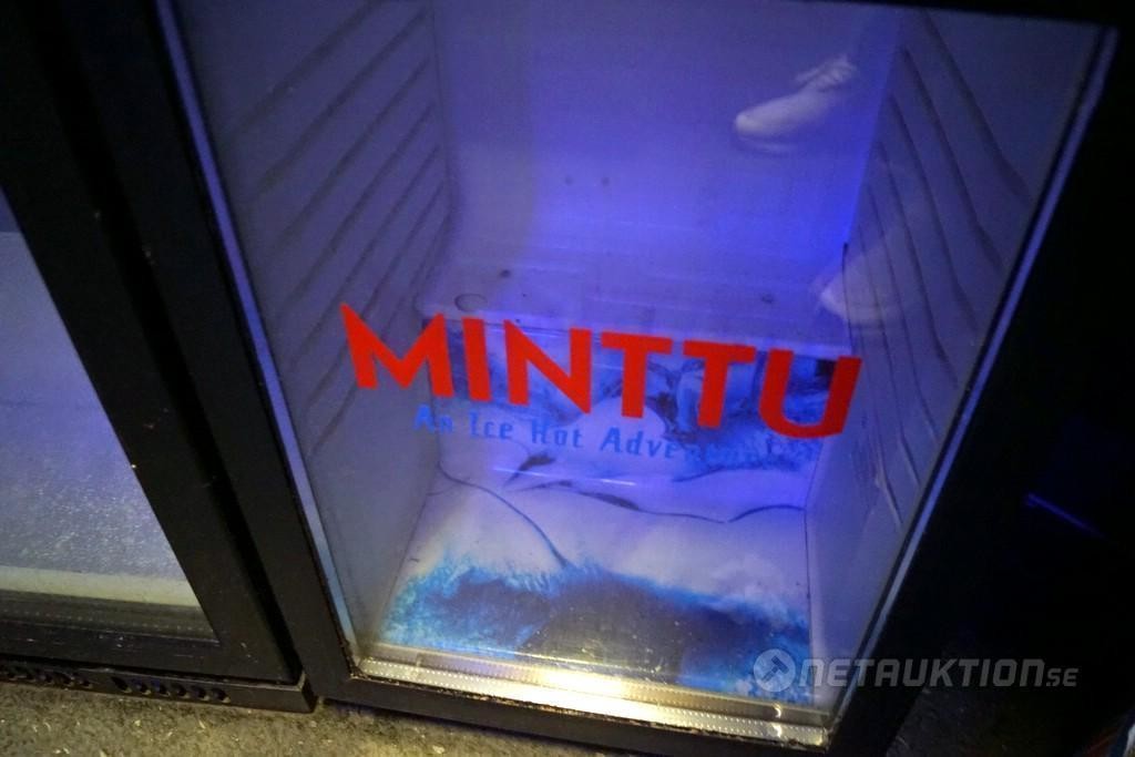 Netauktion - Litet kylskåp, Minttu